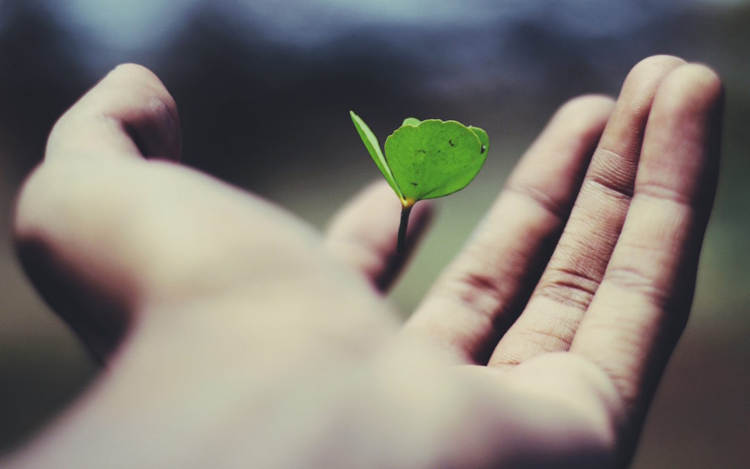 What Is Post Induction Therapy Kindred Counseling